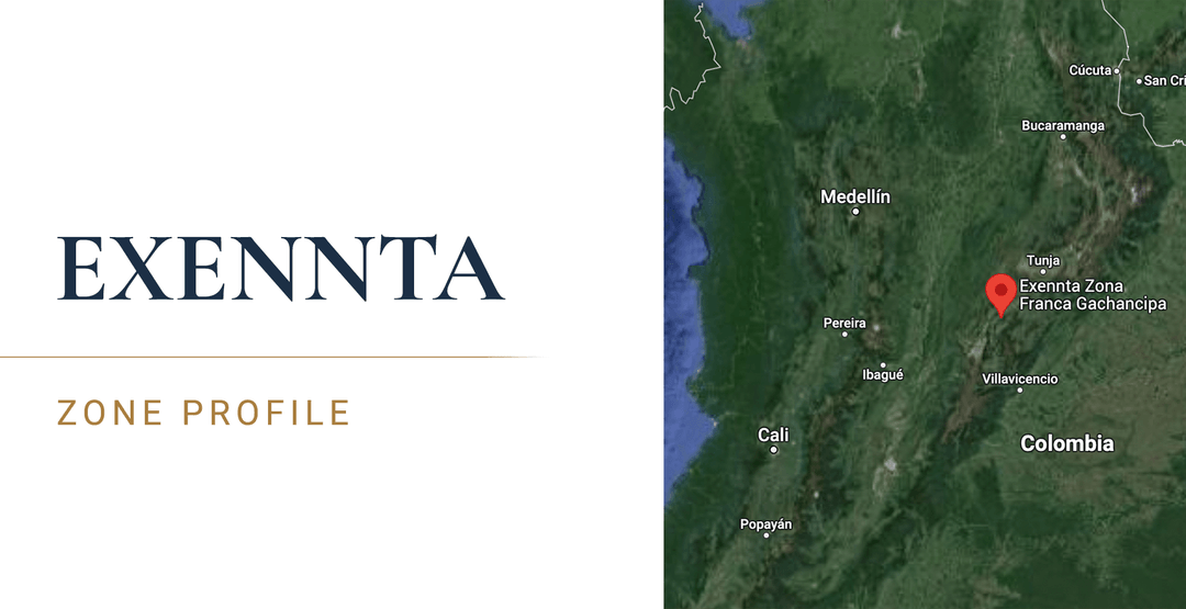 The Codevi Free Zone